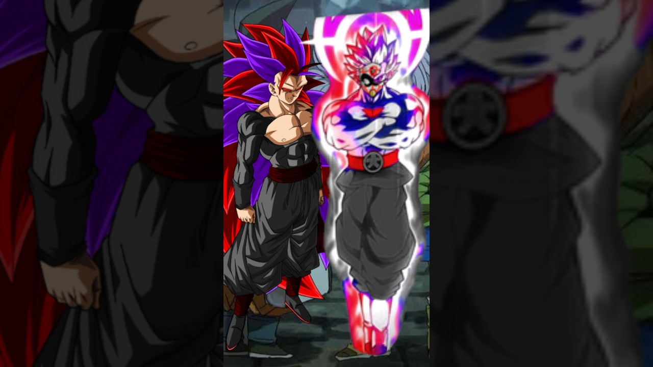 CORRUPTED GOKU SSJ INFINITY VS CORRUPTED GRAND PRIEST TRUE FORM | FUN ...