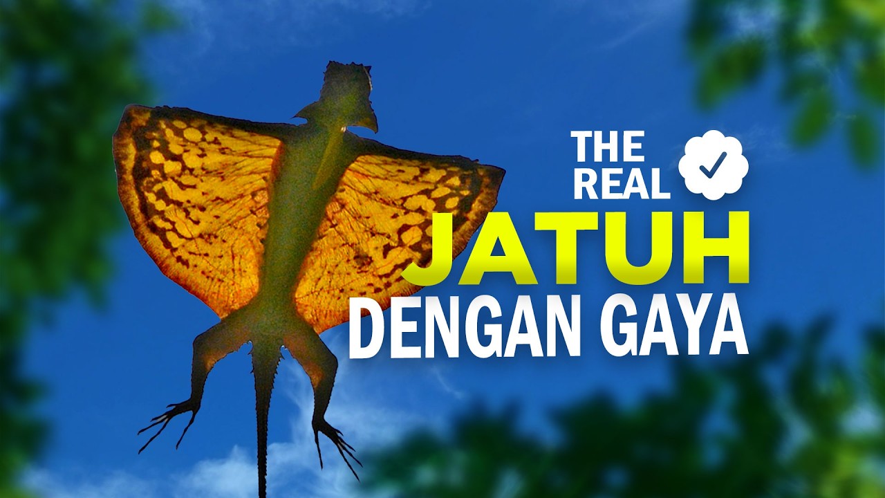 Kadal Terbang tapi Meluncur #AlamSemenit - YouTube