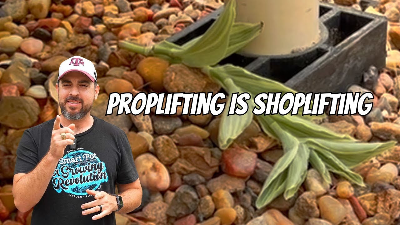 Proplifting is Shoplifting - YouTube