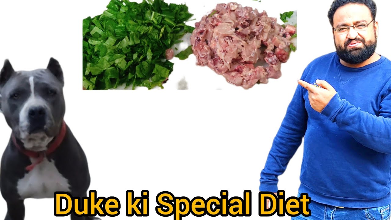 Duke Ki Special Diet ready . - YouTube
