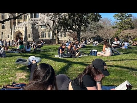 Your Dream College is Already Yours 🏆 Dream college subliminal ( USE ...