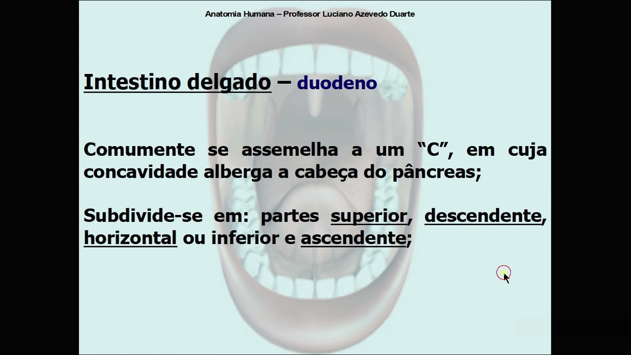 SISTEMA DIGESTÓRIO - PARTE V - YouTube