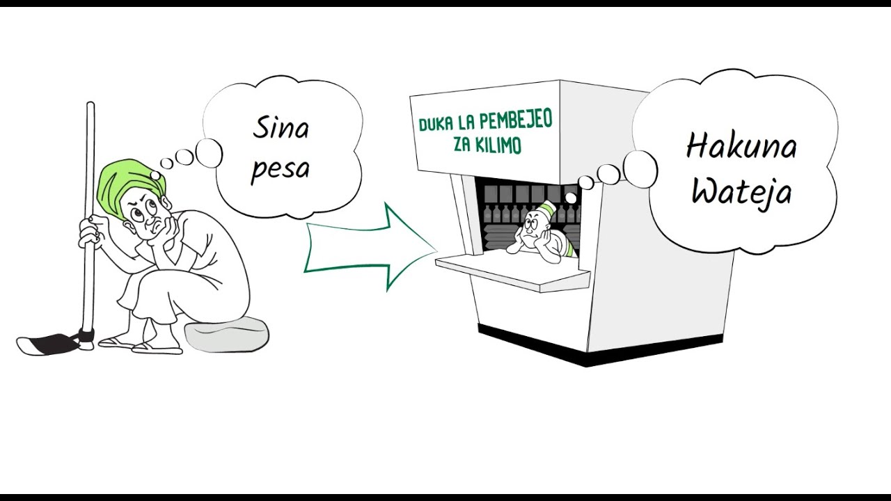 Market Systems Development (MSD) approach - YouTube