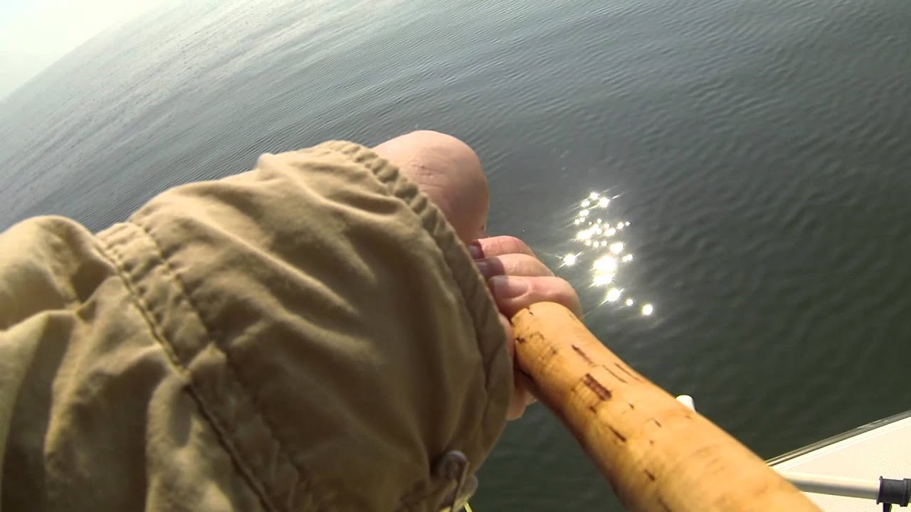 Saltwater Fly Fishing - YouTube