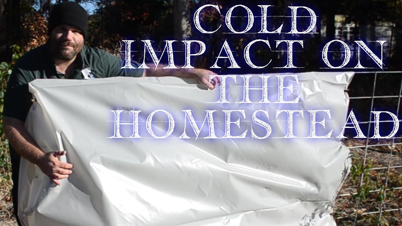 Cold Impacts on the Homestead - YouTube
