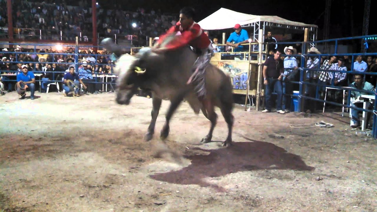 Chepe diaz de colima vs lobo de mar - YouTube