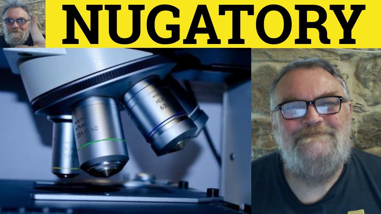 🔵 Nugatory Meaning - Nugatory Defined - Nugatory Examples - Formal ...