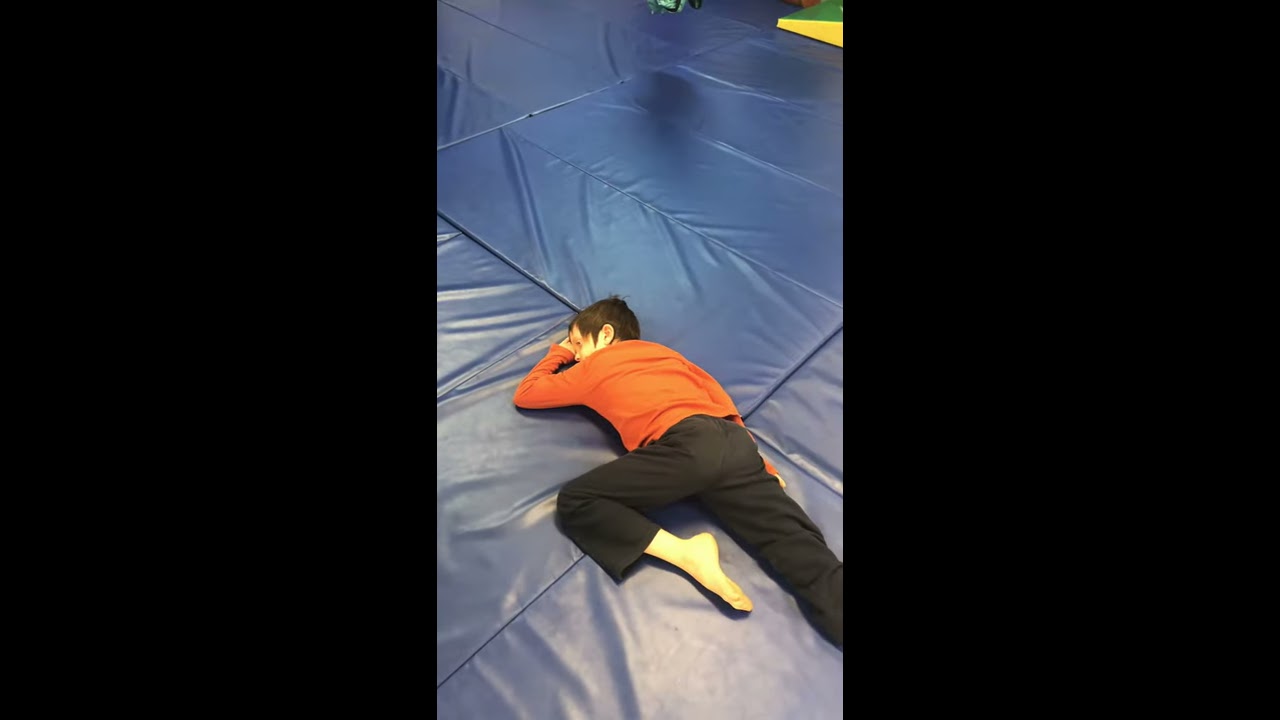 The “lizard” or cross-crawl for right brain/left brain communication ...