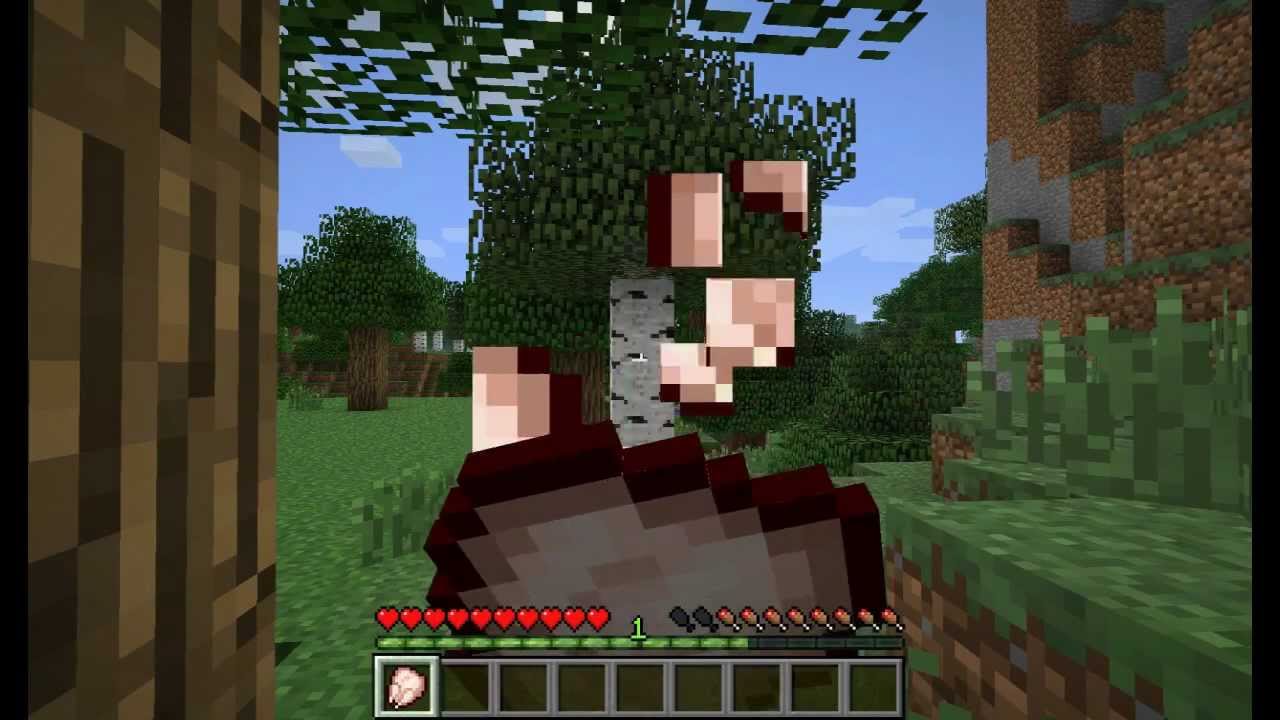 Minecraft: How to eat raw chicken - YouTube