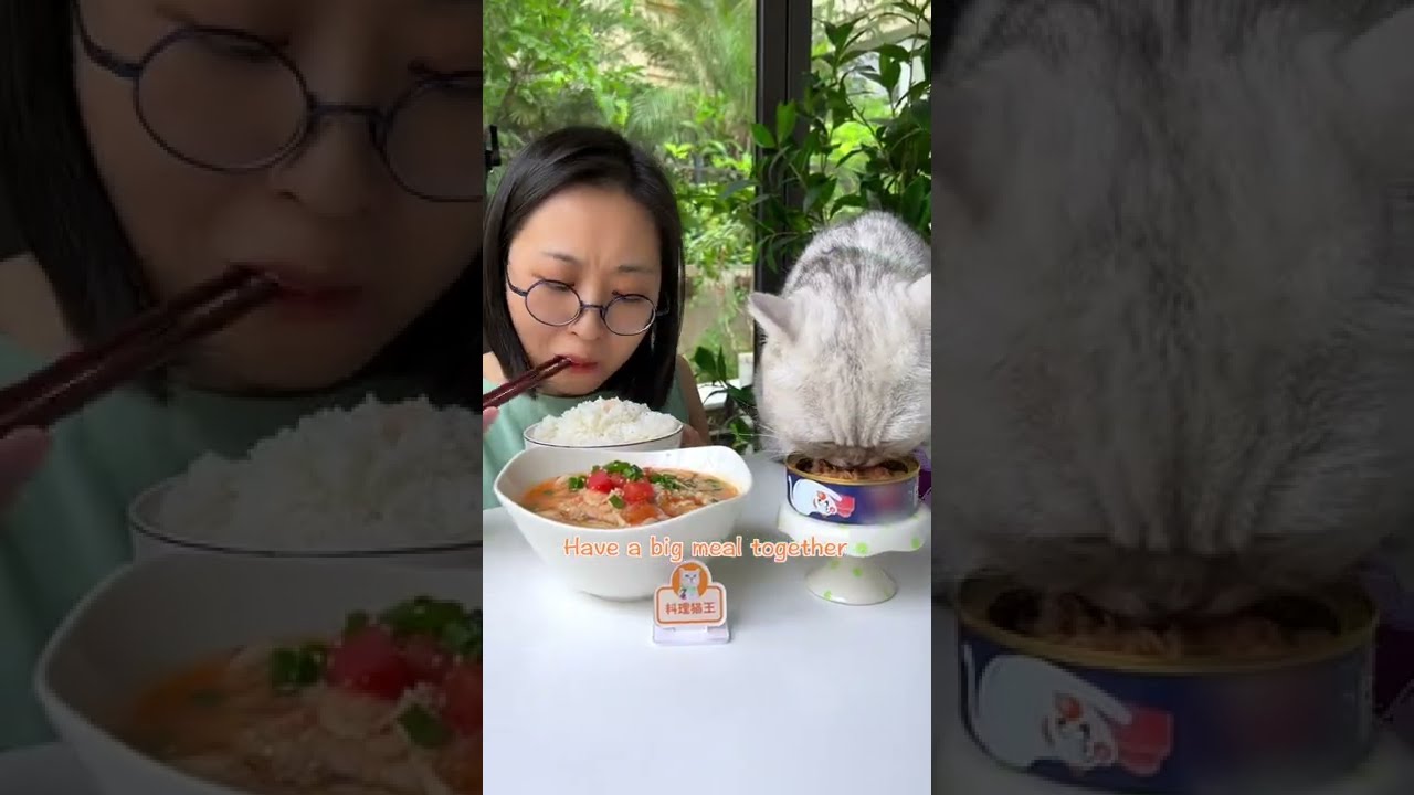 Chef Cat ChangAn😼：I'm Going To Start Eating Fish,Yummy! #catofyoutube # ...