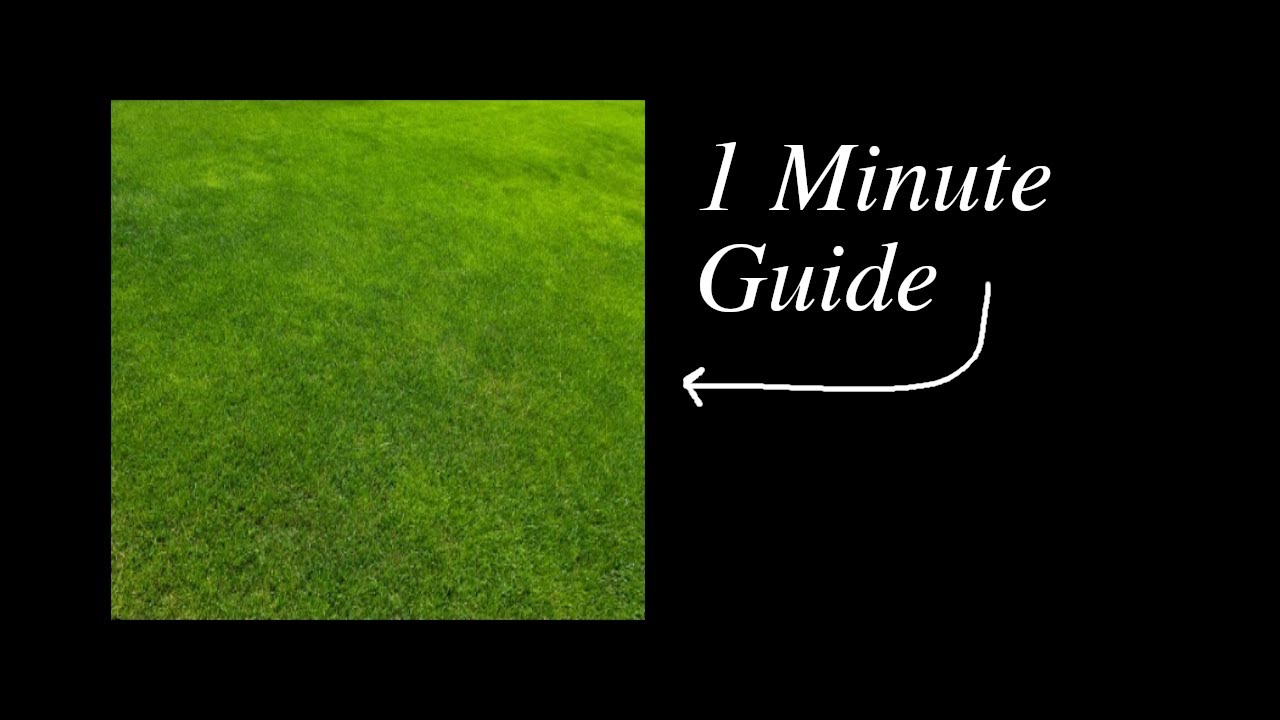 How to touch grass... - YouTube