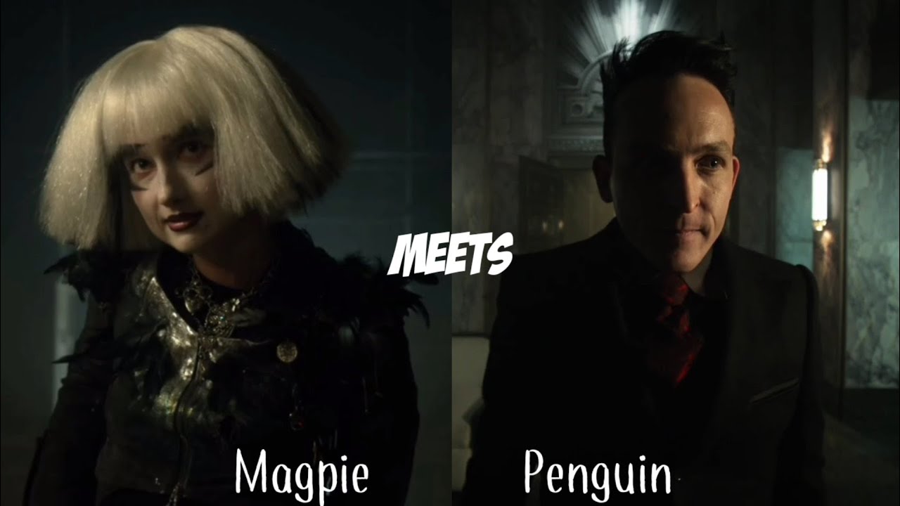 Magpie meets Penguin for the first time - YouTube