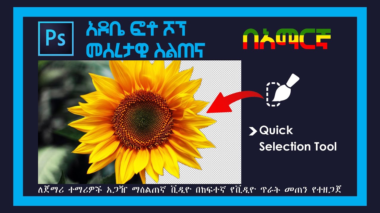 Quick Selection Tool - YouTube