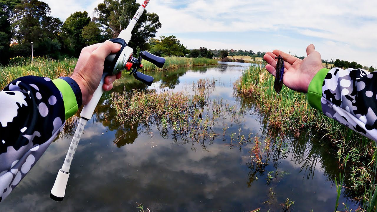 Pond Hopping Urban Ponds For Largemouth Bass | Dowerglen Dam, Edenvale ...