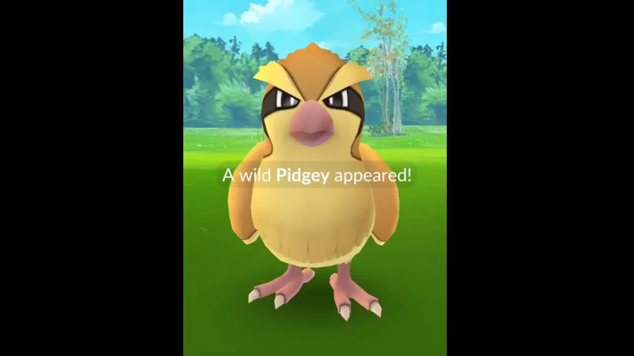 Pokémon GO - Catch Pidgey - YouTube