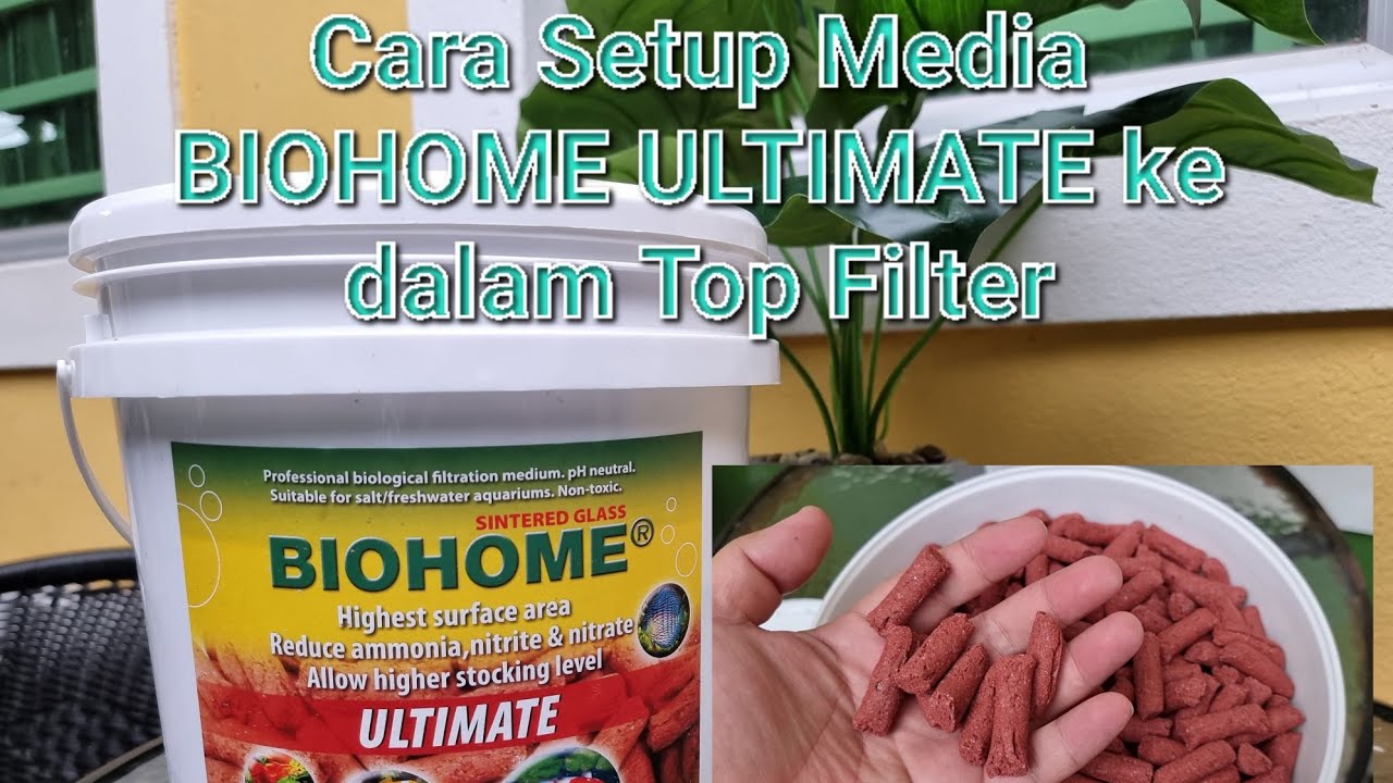 Cara Mudah Setup Media Biohome Ultimate ke dalam Top Filter Fibre Glass ...