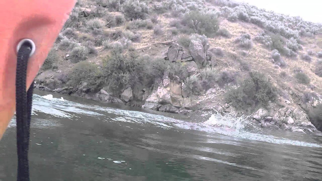 Dam2Dam - Great Moose Migration - YouTube