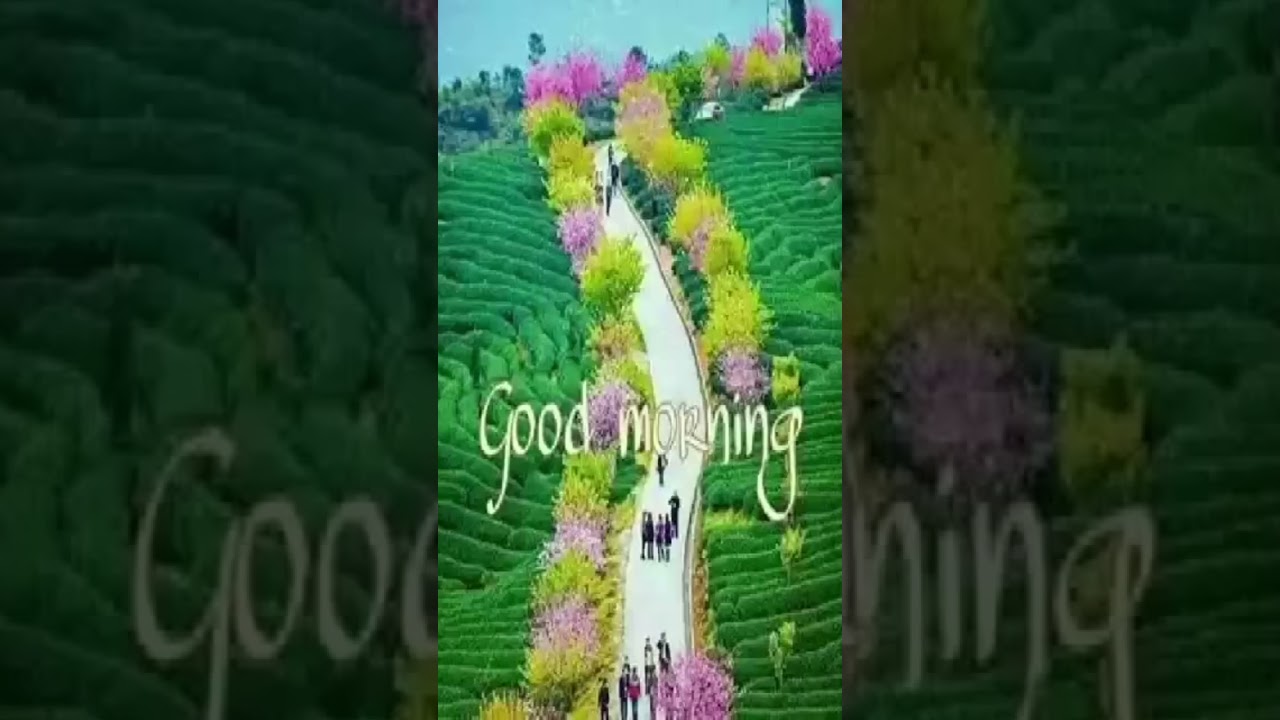 31 August 2022 YouTube 31 August 2022 YouTube