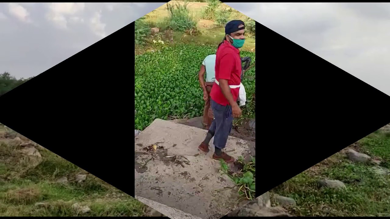 महुअर नदीं सफाई अभियान करेरा जिला शिवपुरी 2 / Mahuar nadi cleaning-2 ...