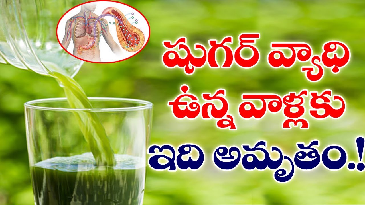 Best MEDICINE For Sugar Patients best-medicine-for-sugar-patients
