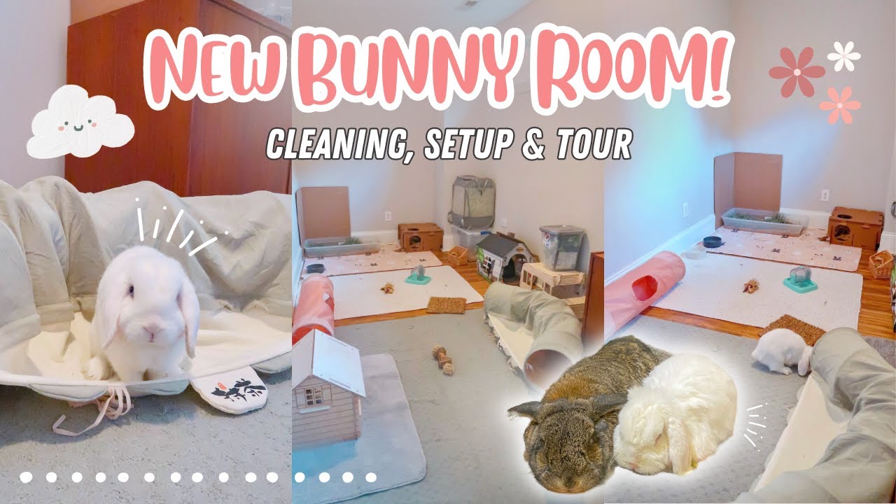 NEW BUNNY ROOM! 💗🐰 | Cleaning, Setup & Tour - YouTube
