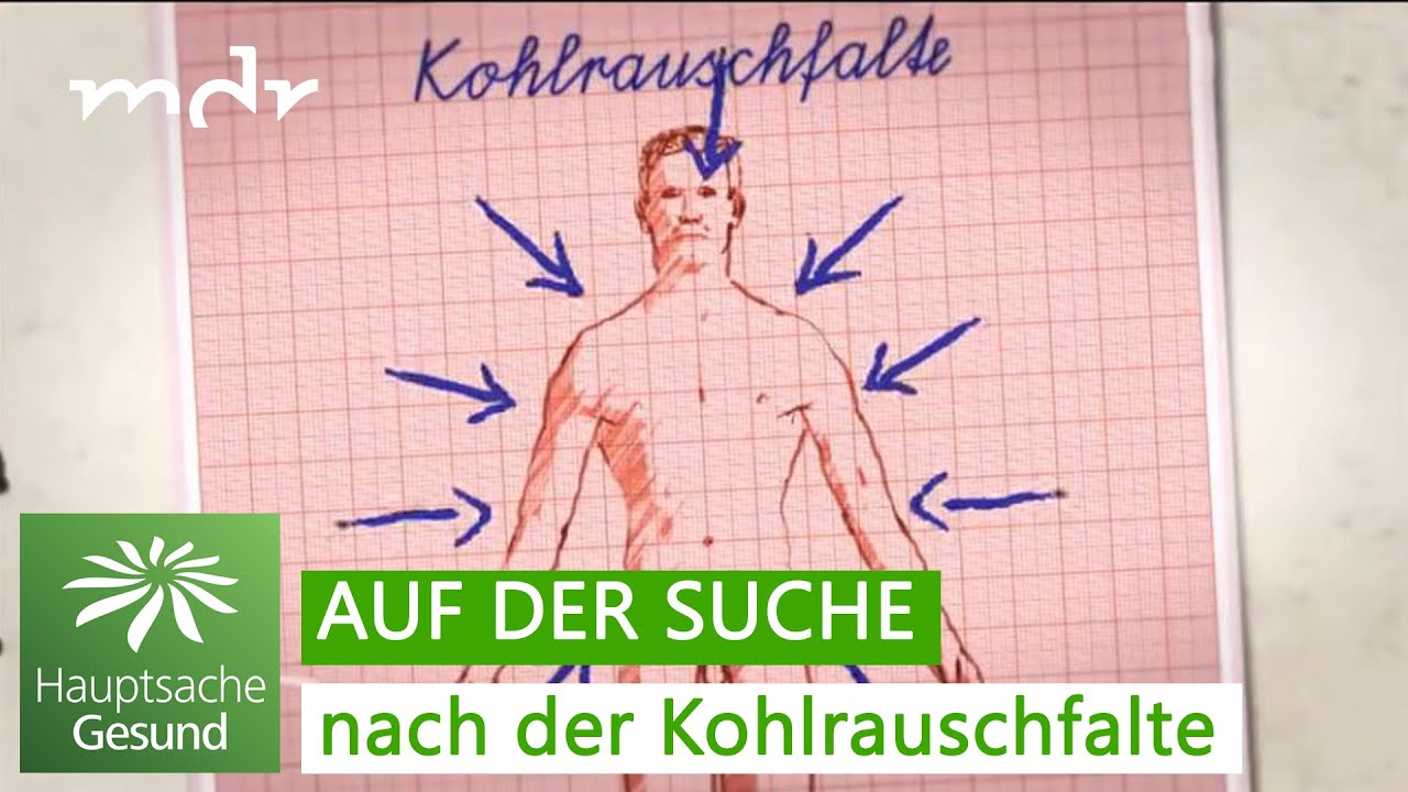 Was ist die Kohlrausch-Falte? | Hauptsache gesund | MDR - YouTube