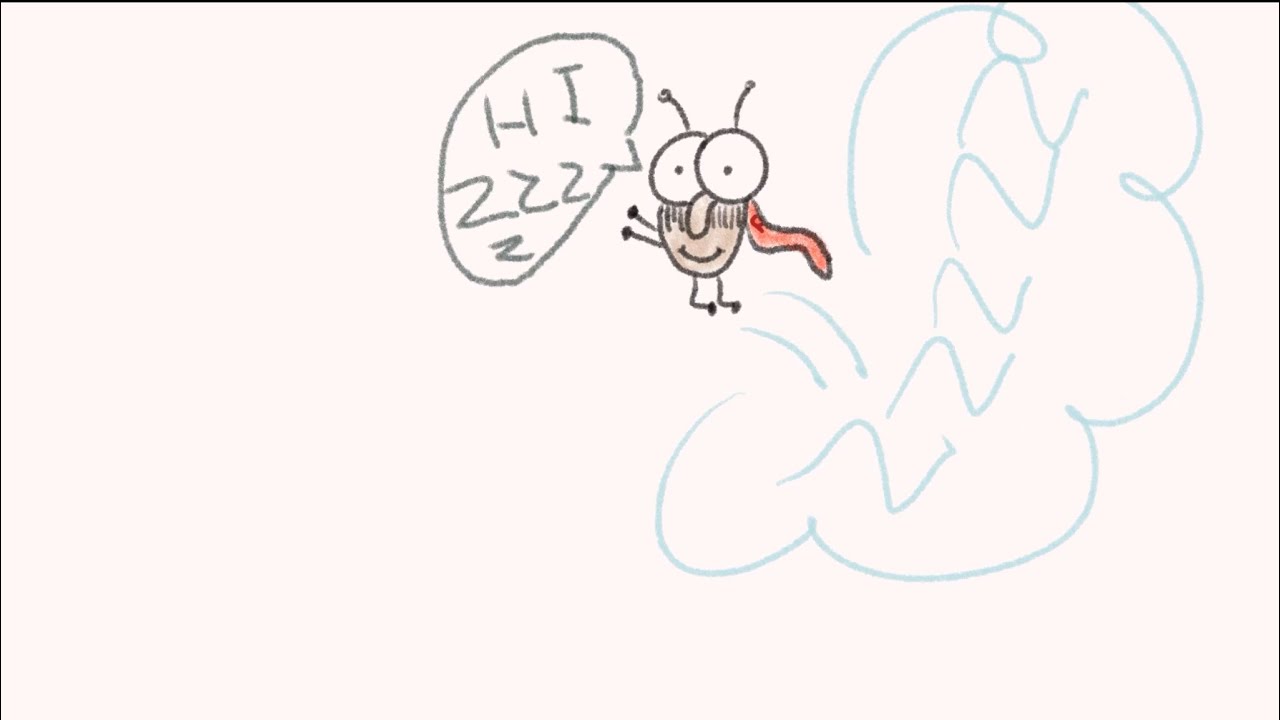 Fly Guy : Read aloud(PART1) - YouTube