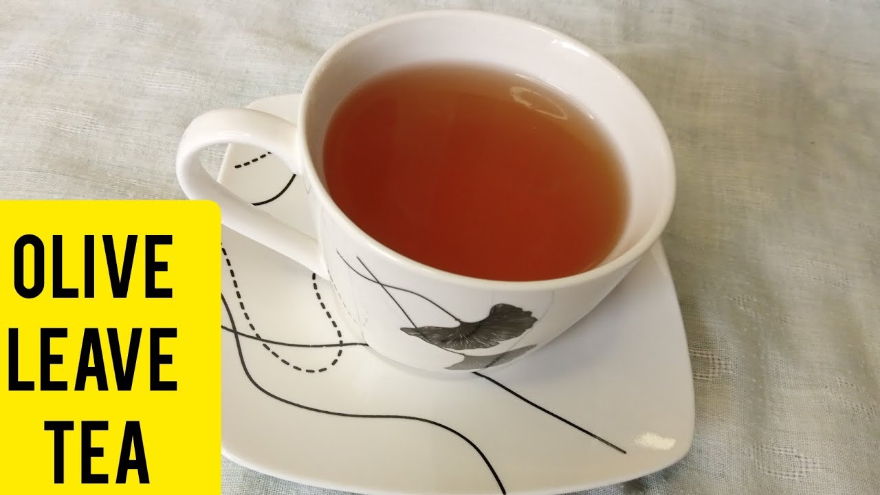 How to make Olive Leaves Tea | Benefits Of Olive Leaves | زیتون کے پتوں ...