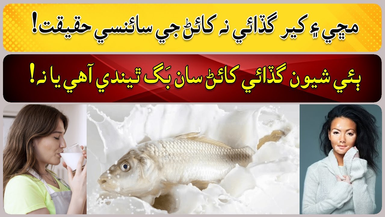 Scientific fact about drinking milk with fish! - YouTube
