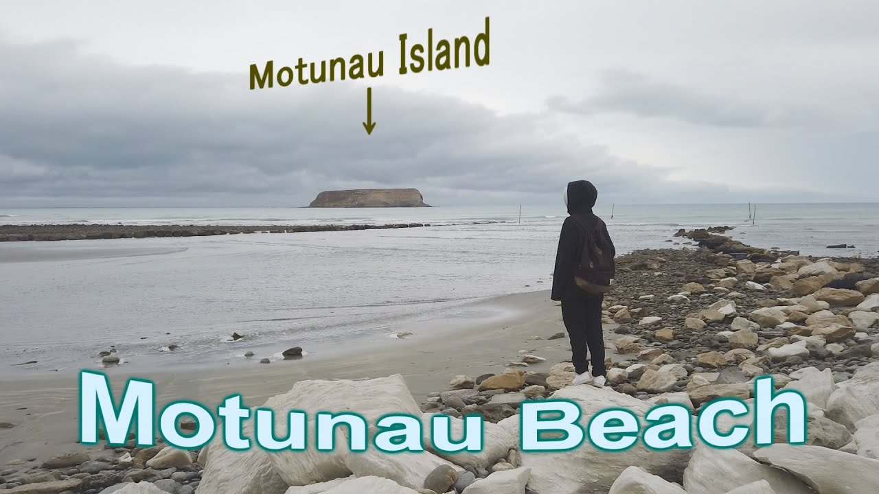 【海外キャンプ】ニュージーランド/Motunau Beach New Zealand 穴場キャンプ場モツナウビーチ/ニュージーランド VLOG ...