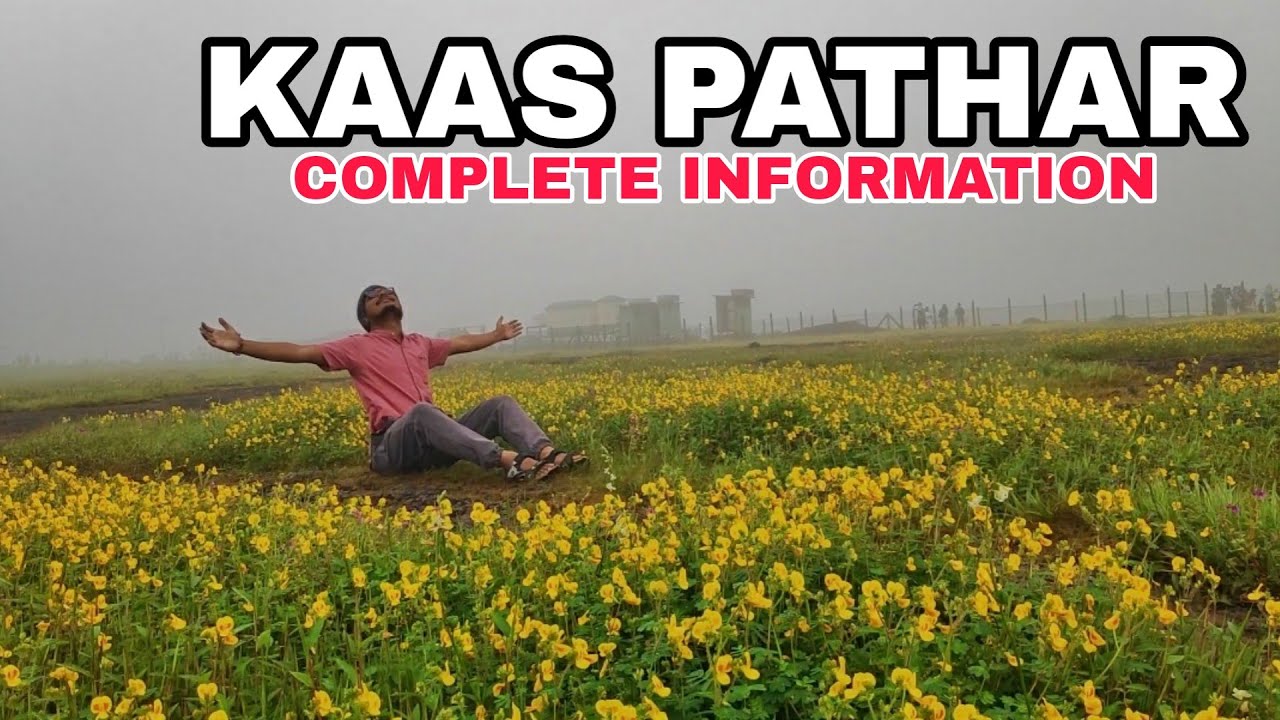 Kaas Pathar | Valley of Flowers | Complete Guide | Satara | Maharashtra ...