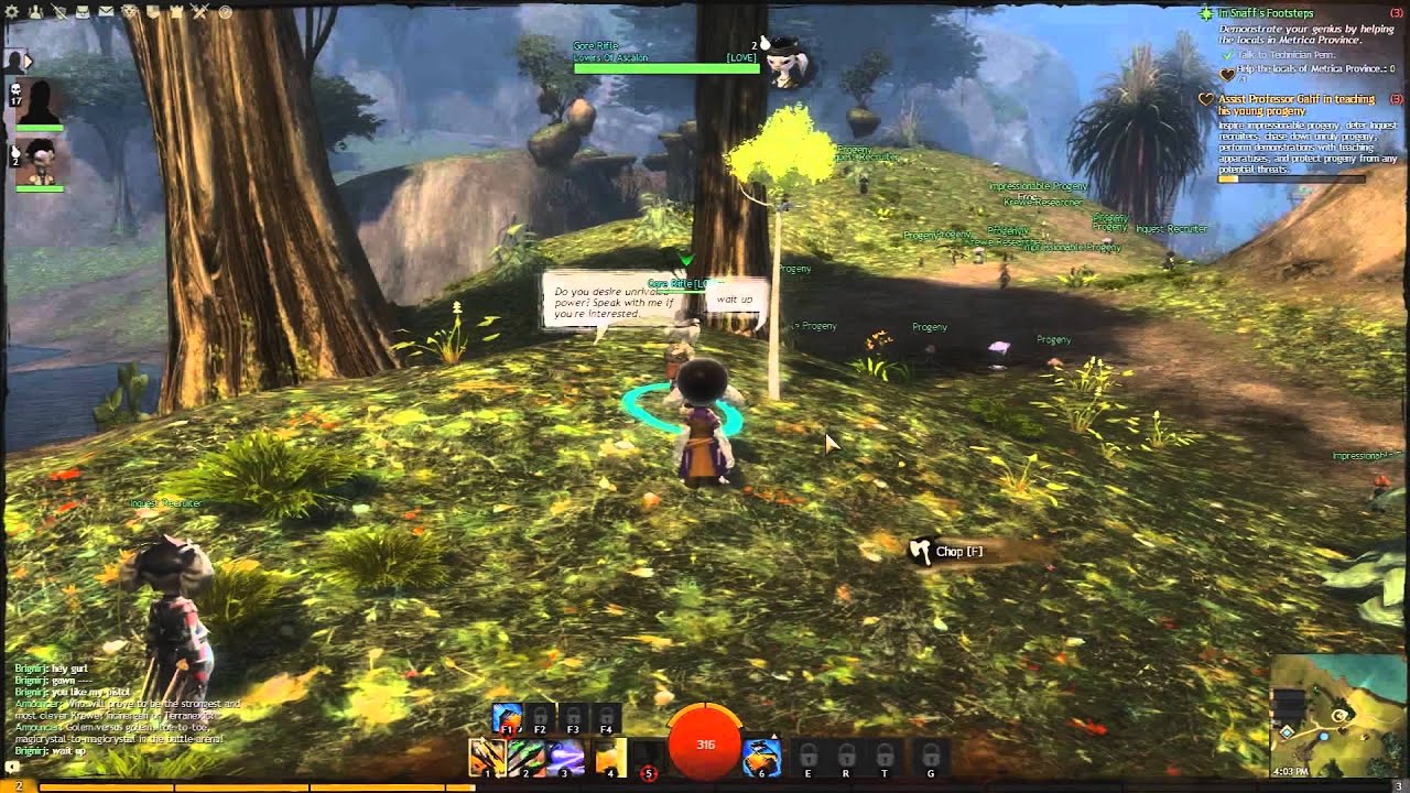 How to troll a Gw2 player! [FUNNY] - YouTube