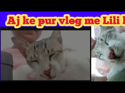 Aaj ka full focus vlog Lili pe h🥰😄@shyamarenookikhushiya - YouTube