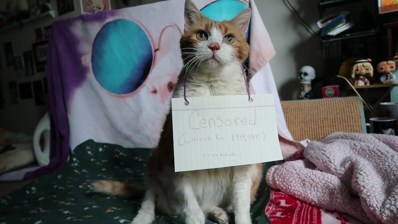 My Cat Got Censored - YouTube