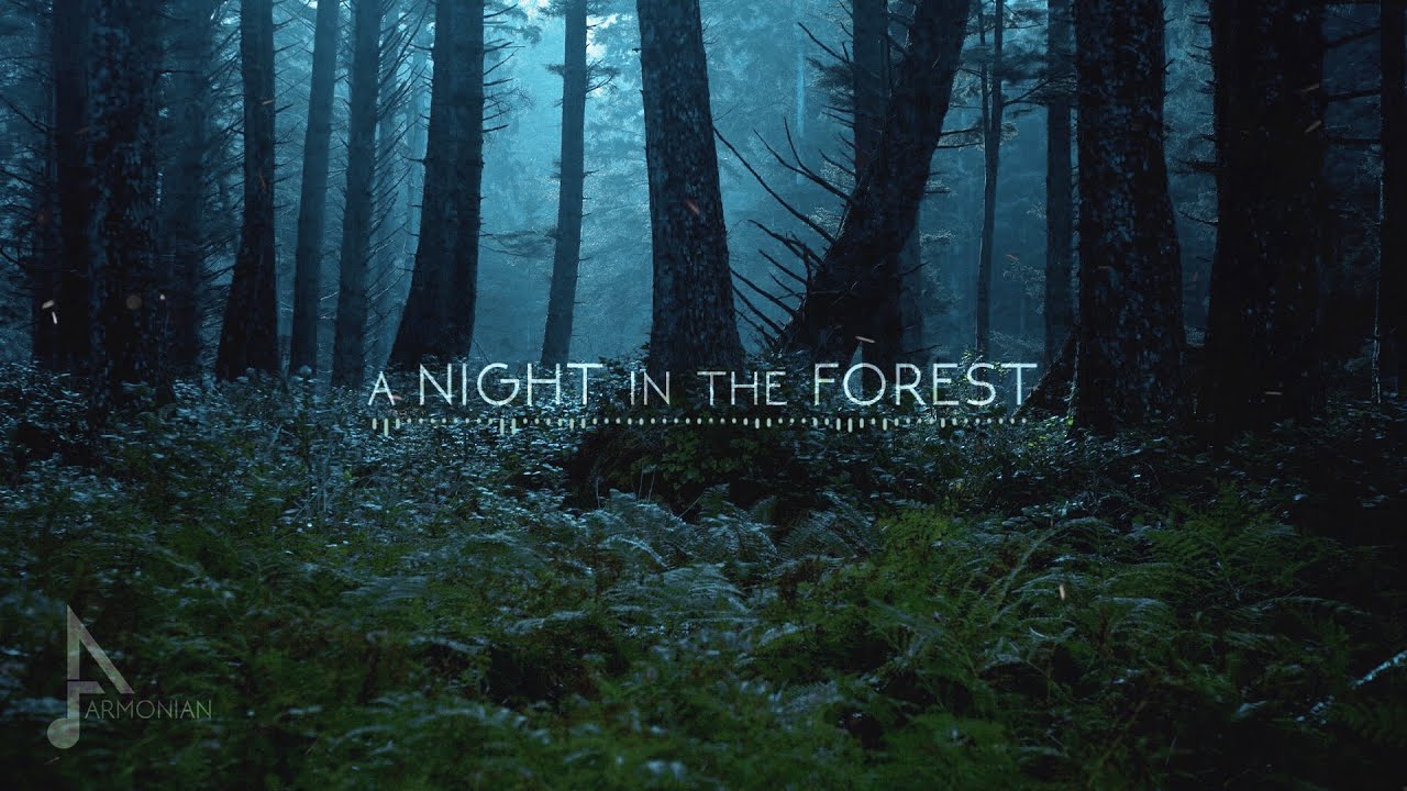 A Night in the Forest - Ambience Music - YouTube