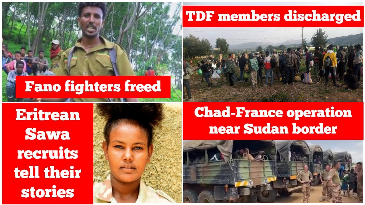 Fano fighters freed | TDF members discharged | Eritrean recruits tell ...