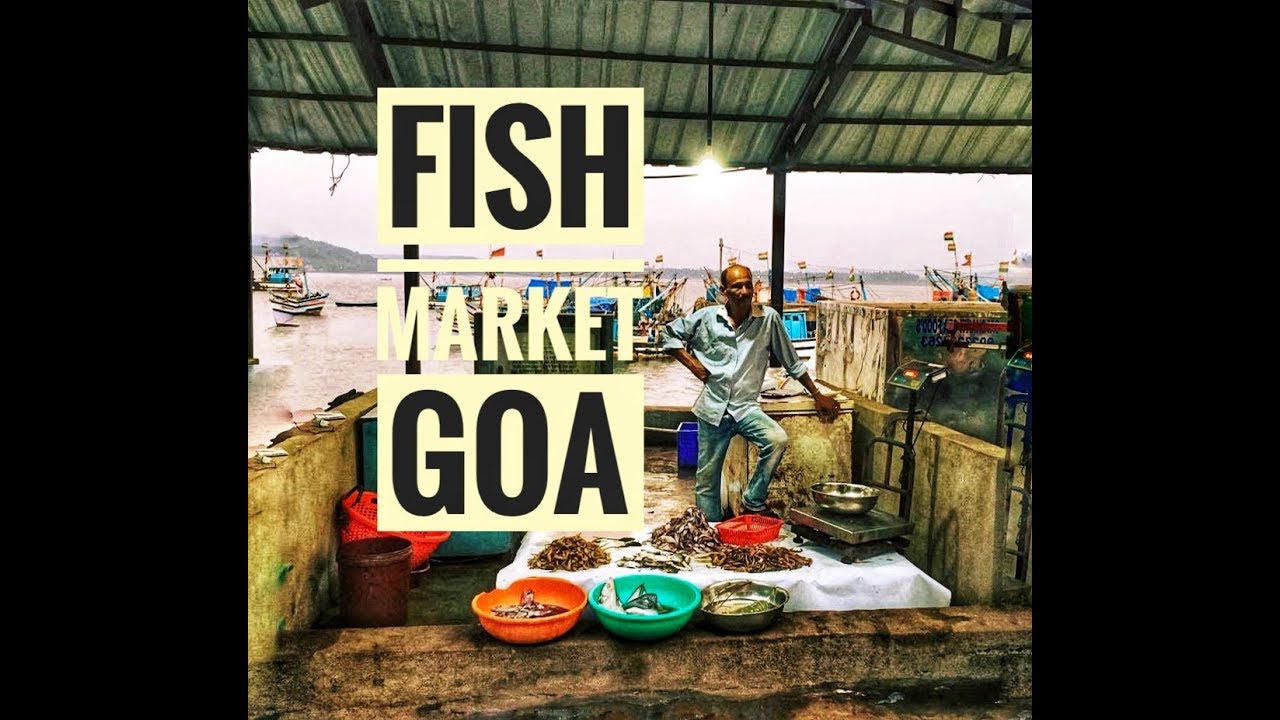 Goa, Fish Market Chapora | Гоа, Индия, рыбный маркет , Чапора - YouTube