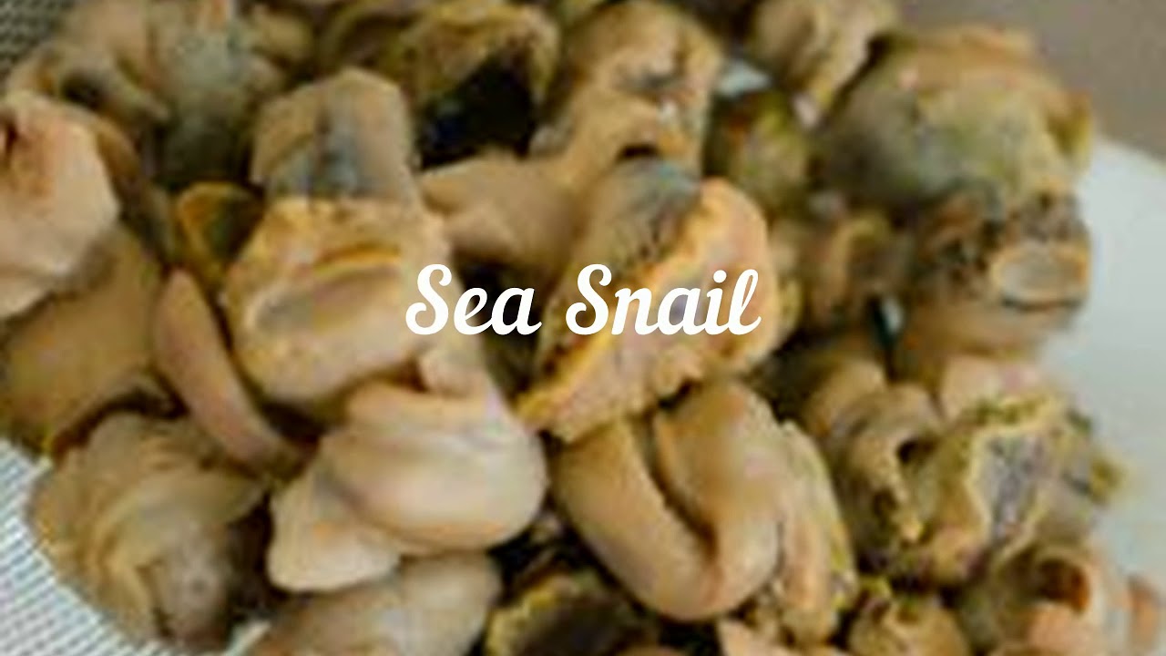 Korea Sea Snail Salad (Golbaengi-muchim) - YouTube