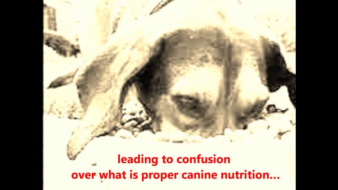 nora nealon ethics in science - YouTube