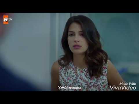 Kirgin cicekler|cemser songun aley|Cesaretin varmi aşka