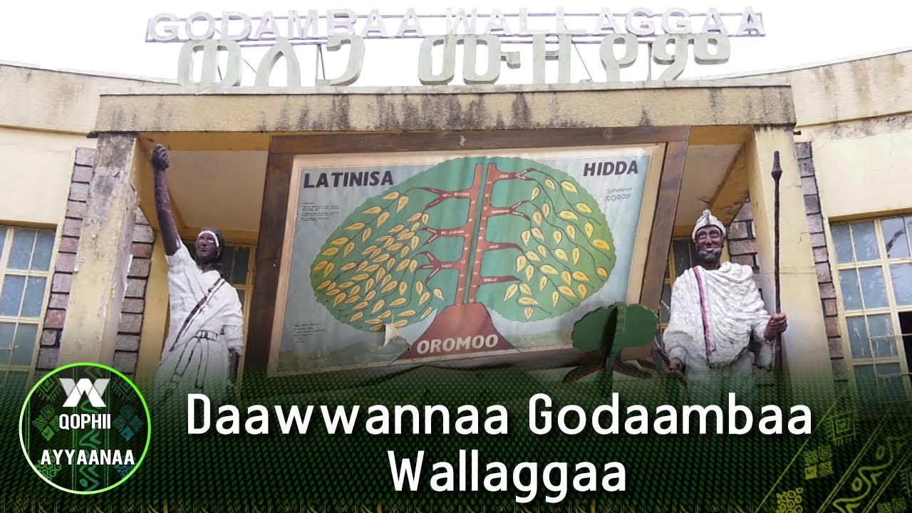 Daawwannaa Godaambaa Wallaggaa - YouTube