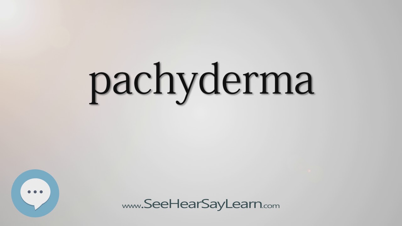 pachyderma - YouTube