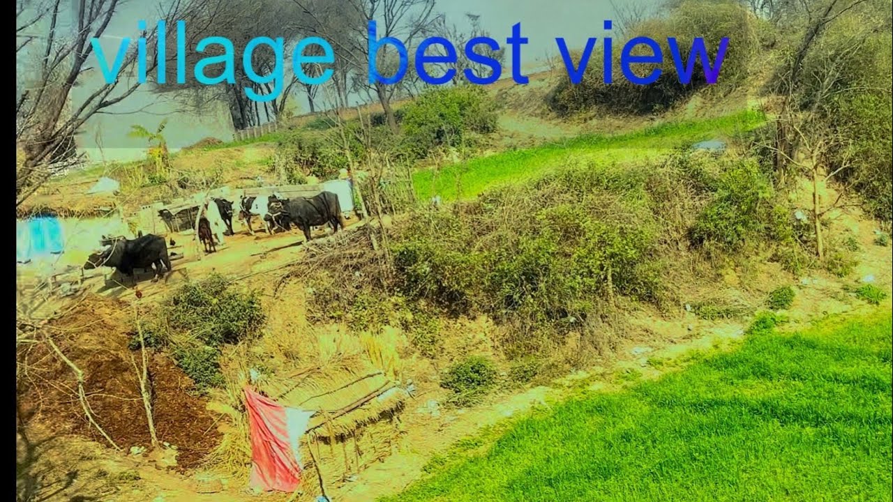 New vlog video village best view - YouTube