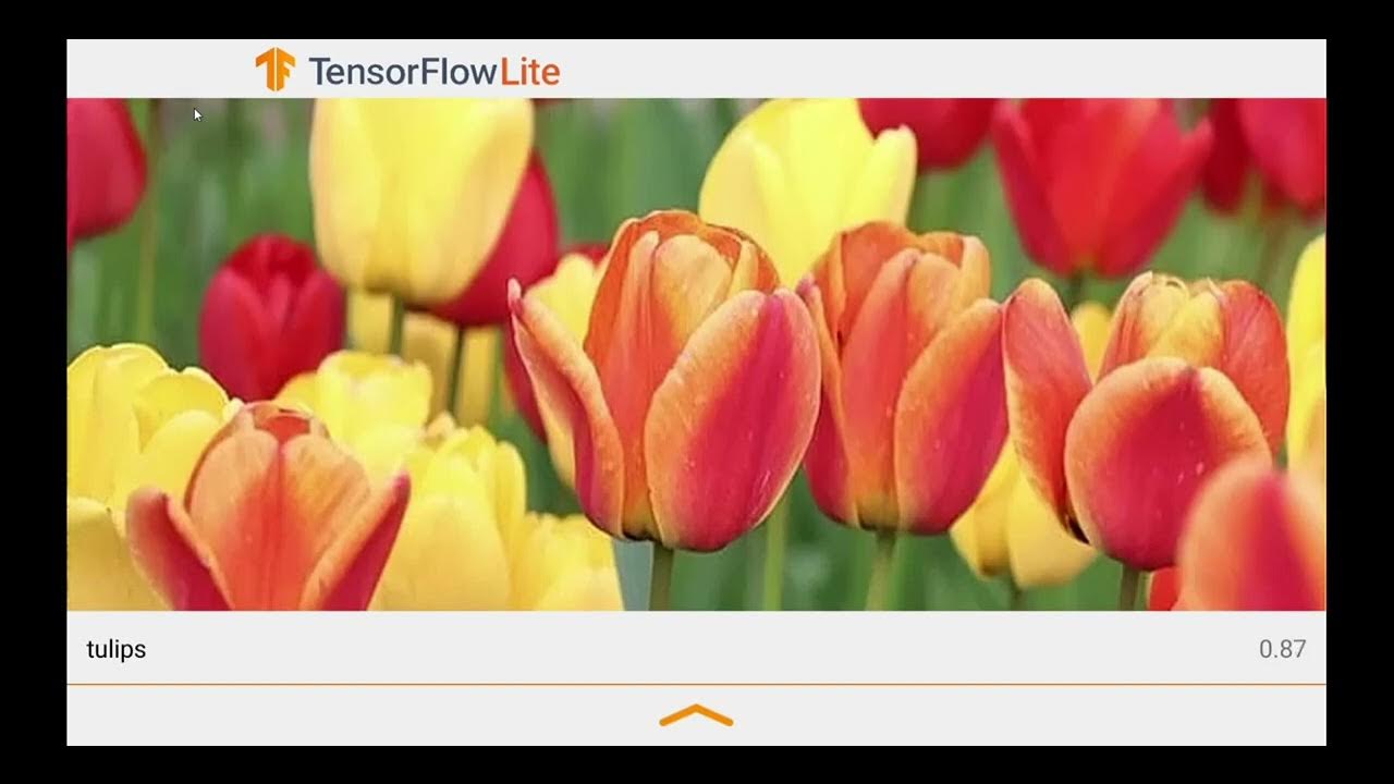 Tensorflow Lite flower - YouTube