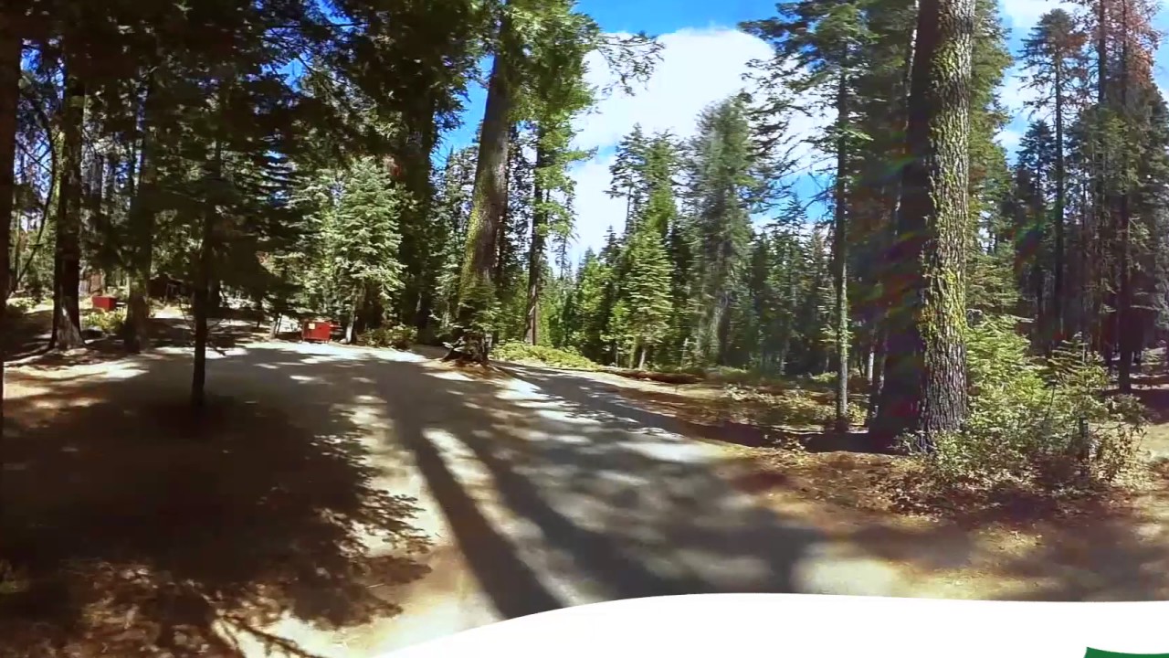 Crane Flat Campground Yosemite National Park - 360 Video Virtual Tour ...