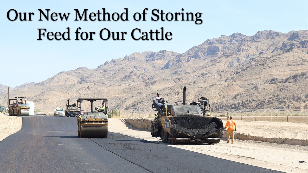 Building a New Silage Pit to Store Feed for Our Cattle - YouTube