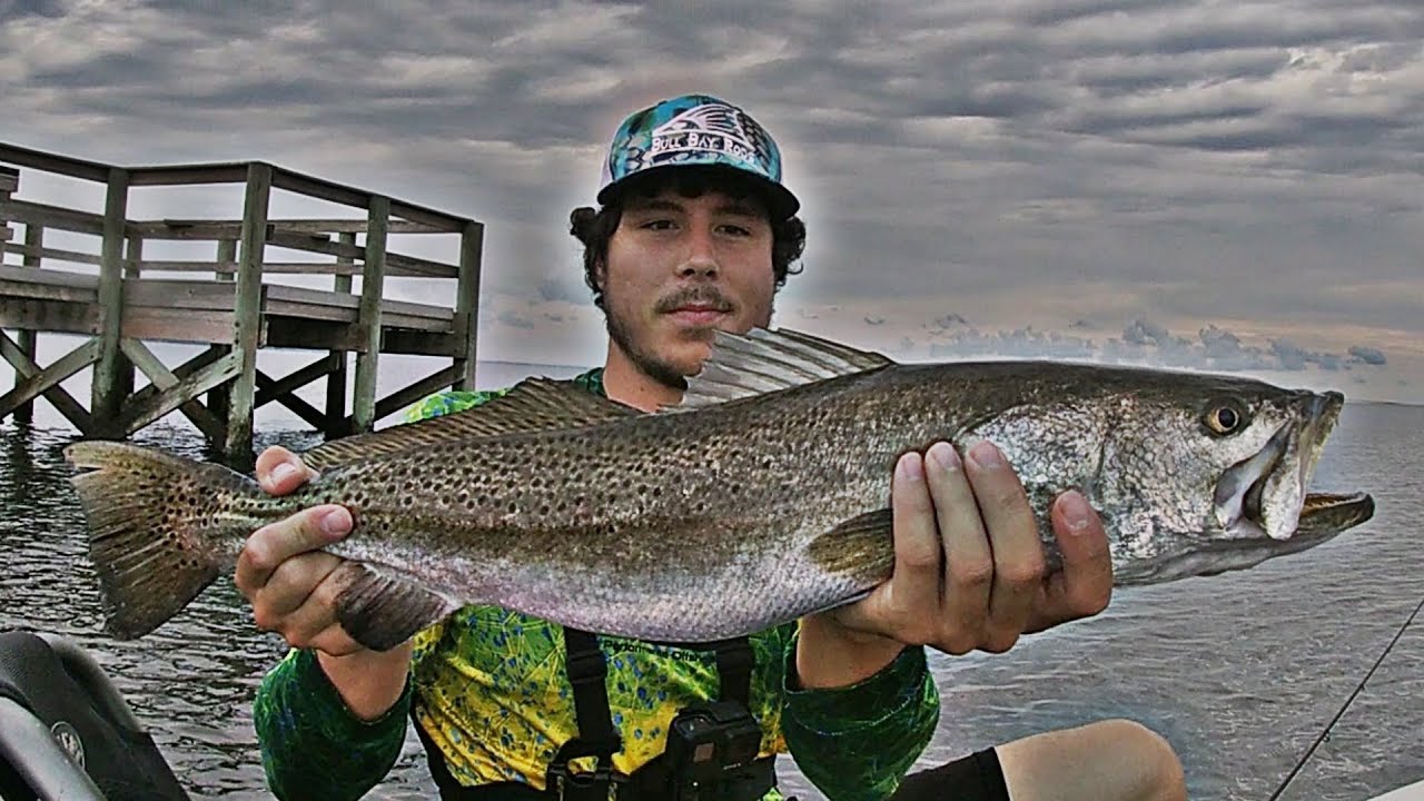Catching a MONSTER Gator Speckled Trout On Tiny Lure! (Pensacola, FL ...
