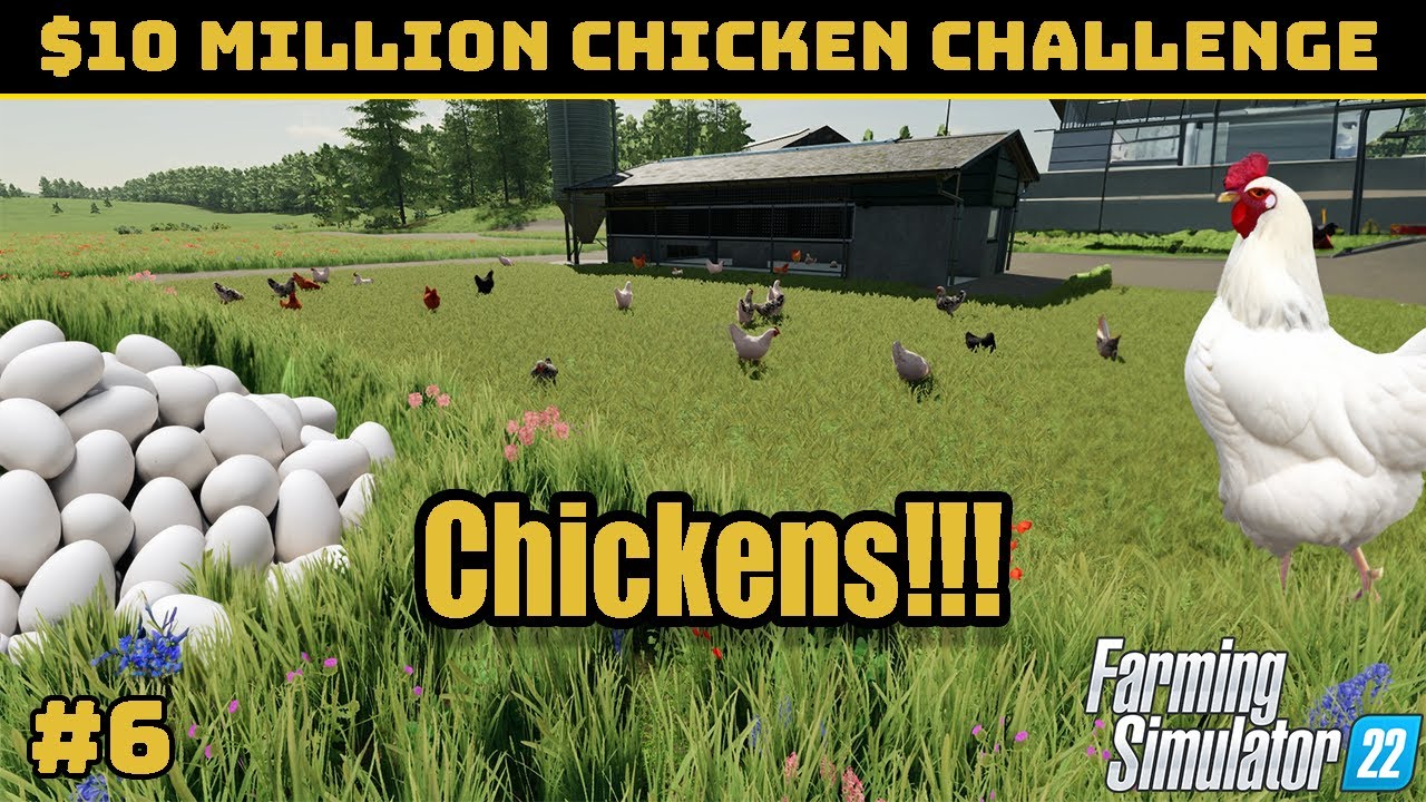 We Finally Got Chickens No Mans Land Episode 6 Farming