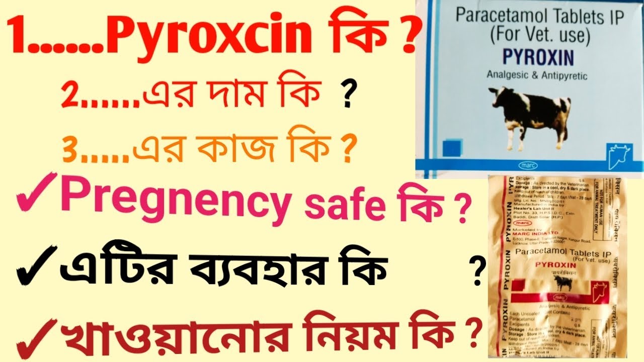 Pyroxin uses & benifits in bangla | Paracetamol Tablets IP for ...