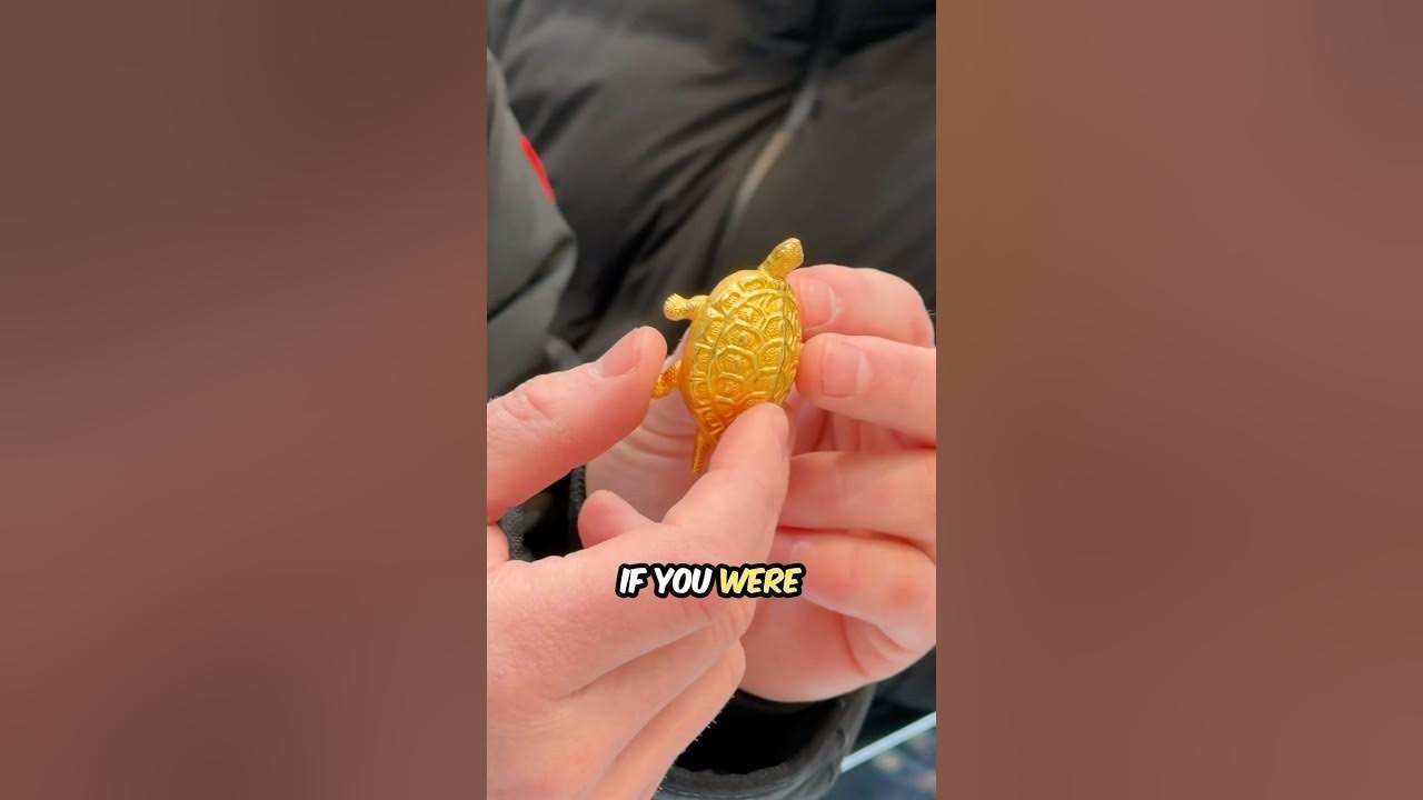 Sold the legendary turtle! Sometimes you gotta get rid of what you love ...